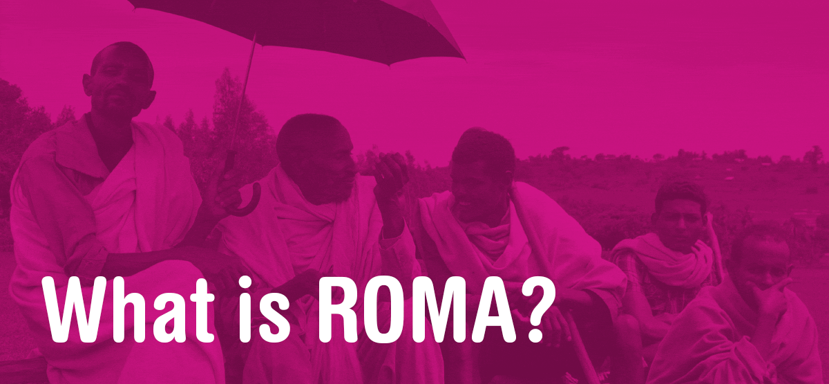 RAPID Outcome Mapping Approach (ROMA): A Guide to Policy Engagement and ...